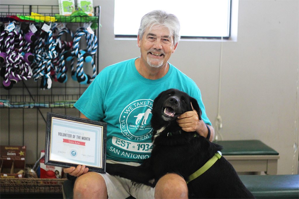 Volunteer Opportunities - Animal Defense League of Texas - San Antonio ...