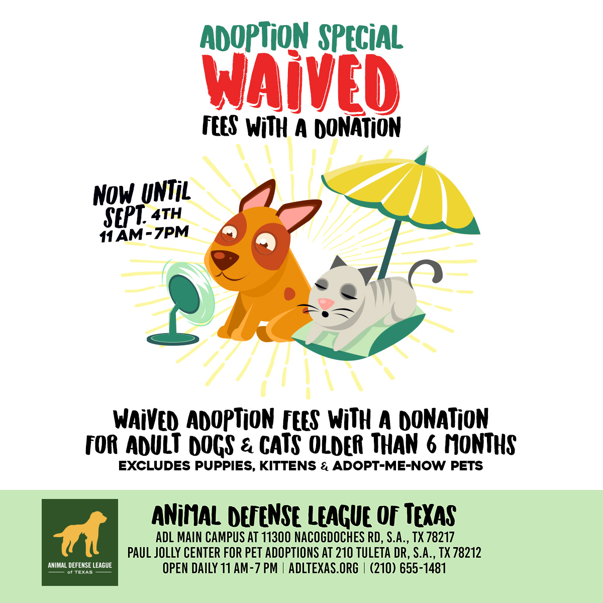 Adoption Special Waived Fees With Donation For Adult Pets Animal