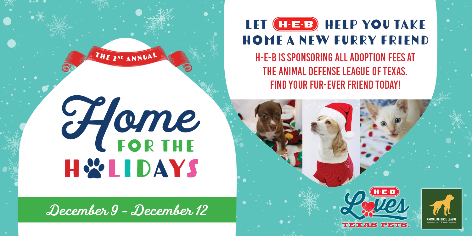 H-E-B Home for the Holidays Adoption Special - Animal Defense League of ...