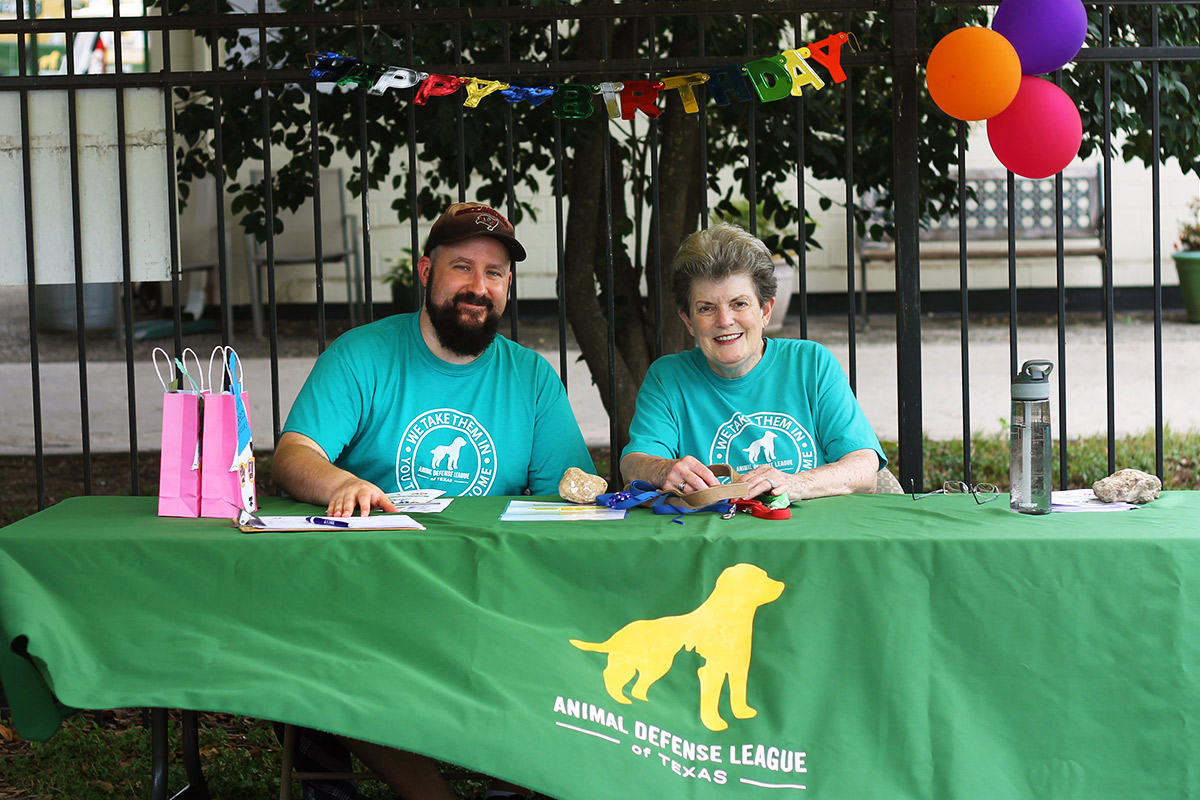 Volunteer Opportunities - Animal Defense League of Texas - San Antonio ...