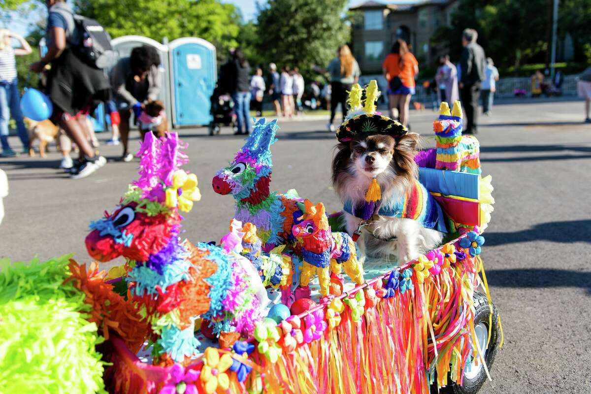 26th Annual Pooch Parade - Animal Defense League of Texas - San Antonio ...