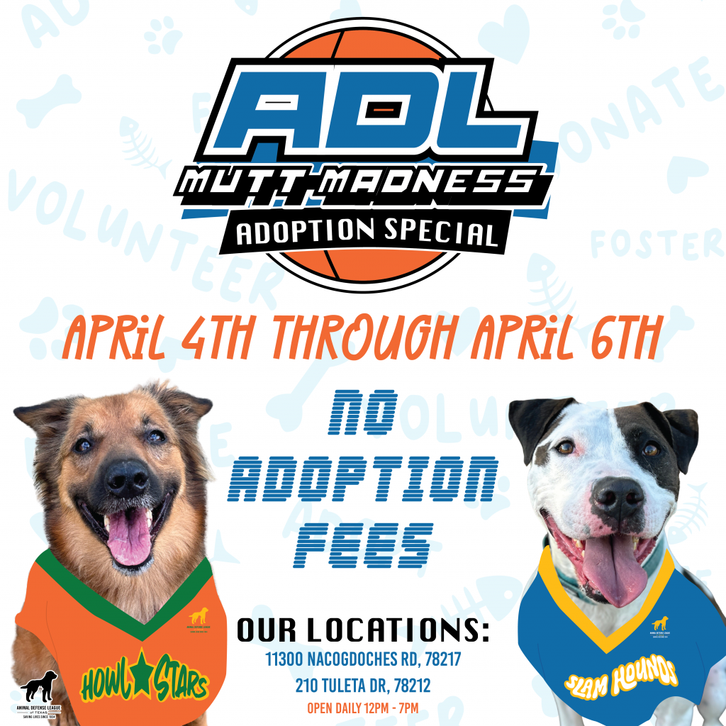 Mutt Madness Makes Headlines! - Animal Defense League of Texas - San ...